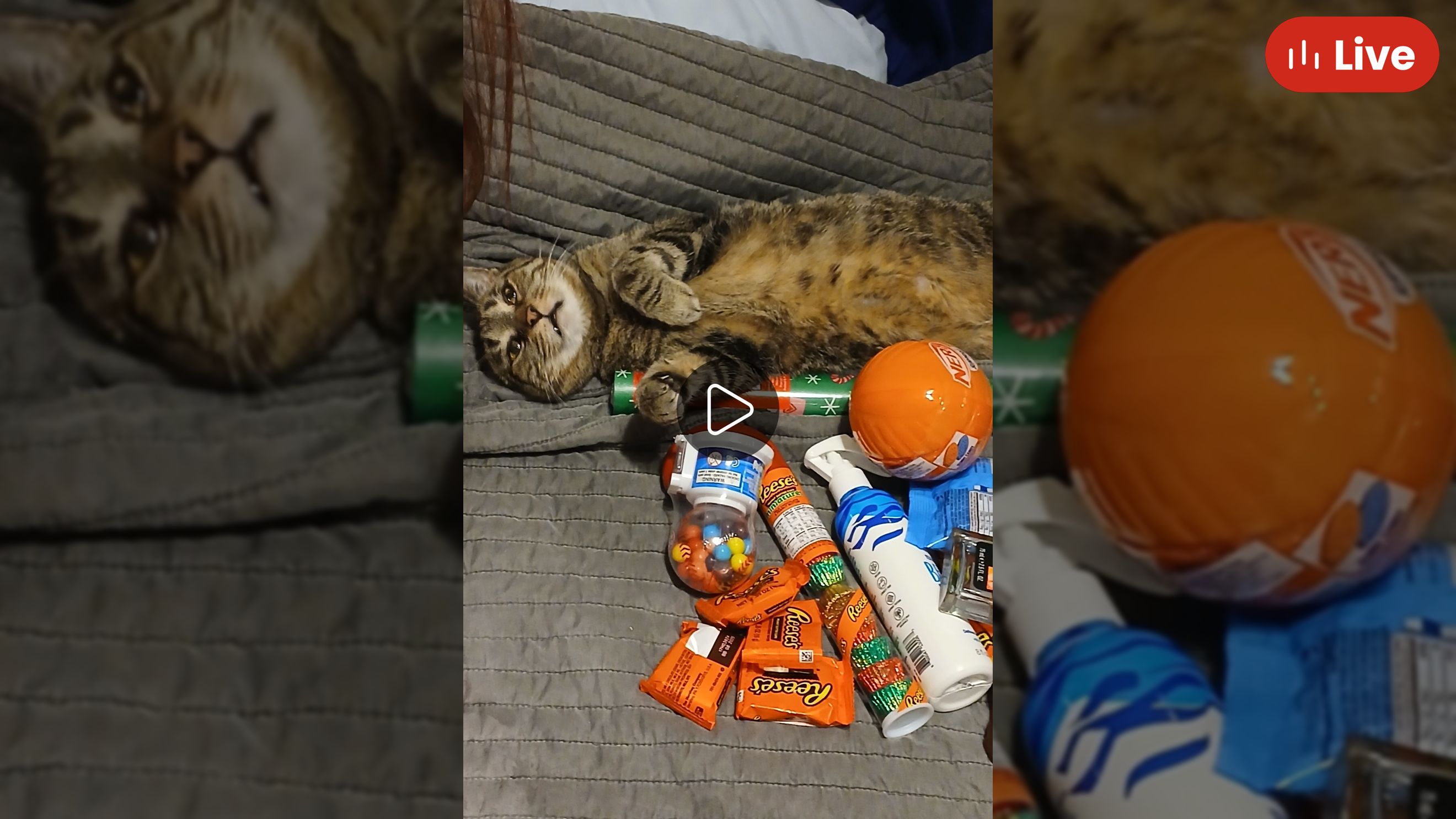 @rip_or_skip's Livestream on Whatnot