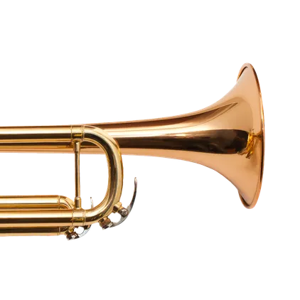 Live shopping for Instruments & Accessories · Whatnot: Shop, Sell, Connect