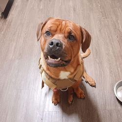 @turfrunner316 · Austin Roberson · Profile · Whatnot: Buy, Sell & Go Live