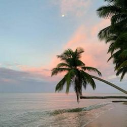 lolo_land · LA · Profile · Whatnot: Buy, Sell & Go Live