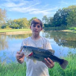 austinkes70626 · Austin Kessler · Profile · Whatnot: Buy, Sell & Go Live