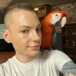 @withdrew · Drew Wolfram · Profile · Whatnot: Buy, Sell & Go Live