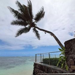 na_pham · nah fam · Profile · Whatnot: Buy, Sell & Go Live