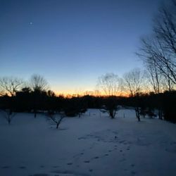 cardsteals · Evan Hancock · Profile · Whatnot: Buy, Sell & Go Live