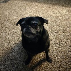 @magicenvisioned · Magic Envisioned · Profile · Whatnot: Shop, Sell ...