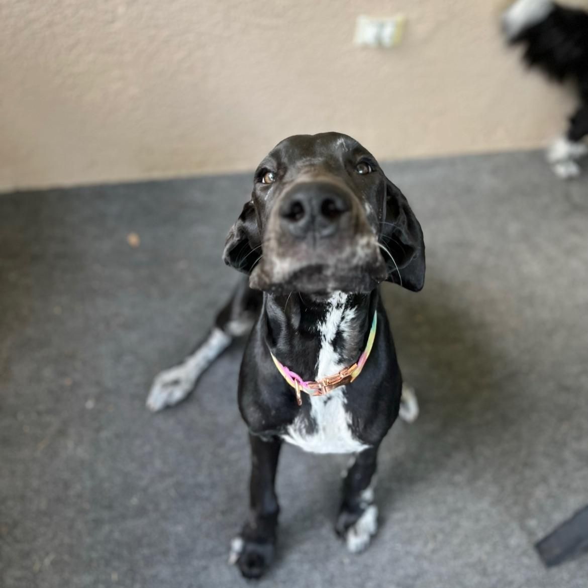 Whatnot - Sunday Funday with Jamz! Road to 2K!! Giveaways!!! Livestream ...