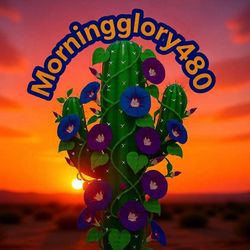 Profile · morningglory480 · Jackie Almeda · Whatnot: Shop, Sell, Connect