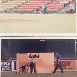 smitch82 · Seth Mitchell · Profile · Whatnot: Buy, Sell & Go Live