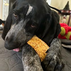 @coopers2000 · Cooper Sharpe · Profile · Whatnot: Shop, Sell, Connect