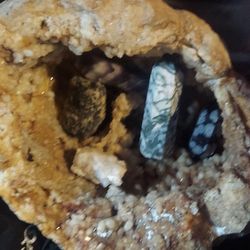 Profile · jodirei02714 · Jodi Reich · Whatnot: Shop, Sell, Connect
