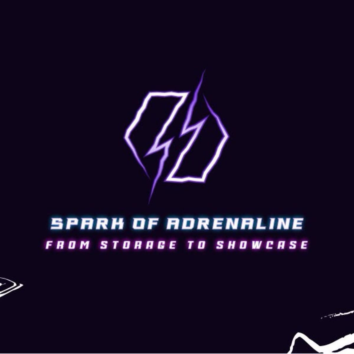 spark_of_adrenaline is live · Storage Unit Finds · Vintage, Antique ...