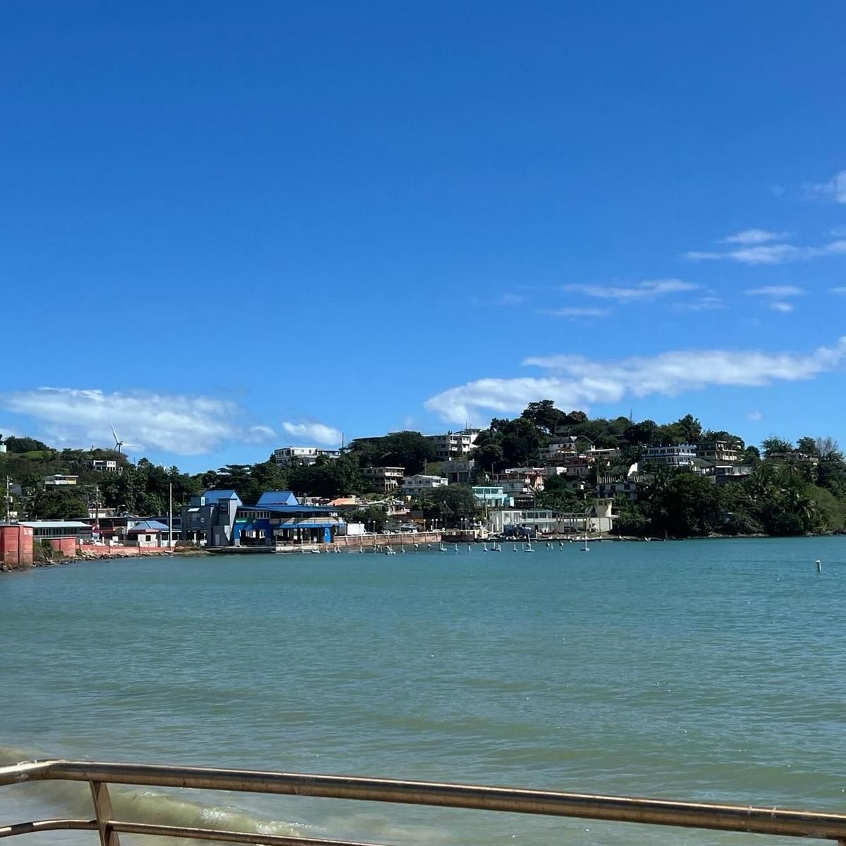 MXSHOP247 #$1Starts #Cards #Misc #Allitems · @mxshop247 · Whatnot: Shop ...