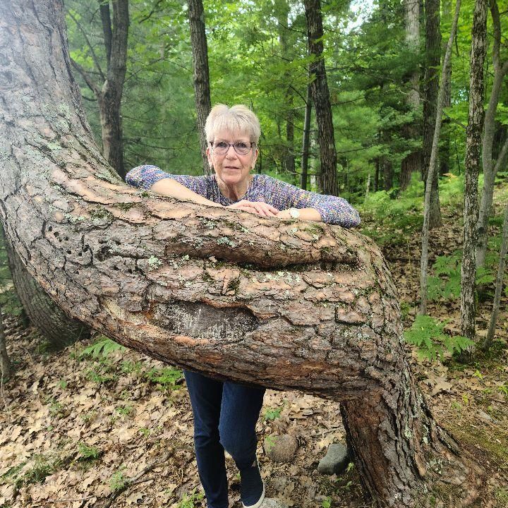 @usernamejayne's Livestream on Whatnot