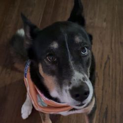 @lilmattspokemonshop · Matt Galli · Profile · Whatnot: Shop, Sell, Connect