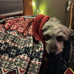 l_farmer07 · Logan Farmer · Profile · Whatnot: Buy, Sell & Go Live