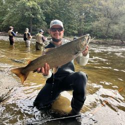 morris_outdoors · Brody morris · Profile · Whatnot: Buy, Sell & Go Live