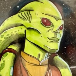 viiperpiilot · Tyler Newcomb · Profile · Whatnot: Buy, Sell & Go Live