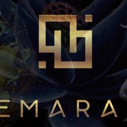 Profile · nemaracii · Nemaraci Collectibles · Whatnot: Shop, Sell, Connect