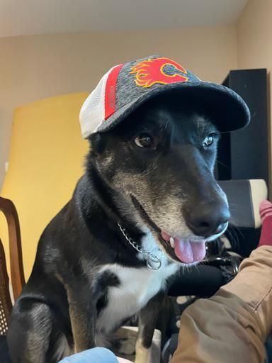 Whatnot - 🇨🇦 Team Random Wheel Spin and Giveaways Livestream by ...