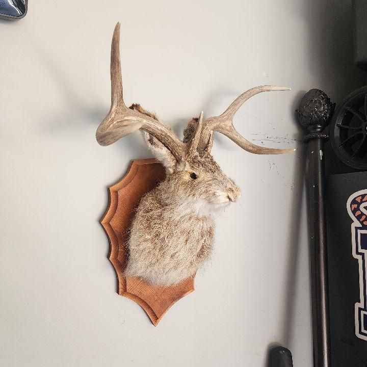 MORGAN MONDAY 7.7 · @silverdanb · Whatnot: Shop, Sell, Connect