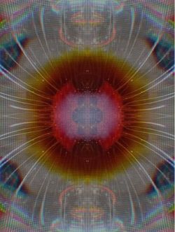 @nandoglass · Captain Nando · Profile · Whatnot: Shop, Sell, Connect