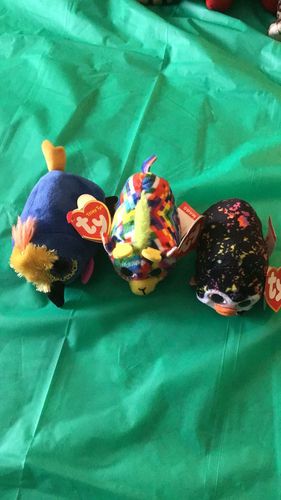 Tiny Ty’s Mabs, Pocket, Teeny Ty Diva | Whatnot