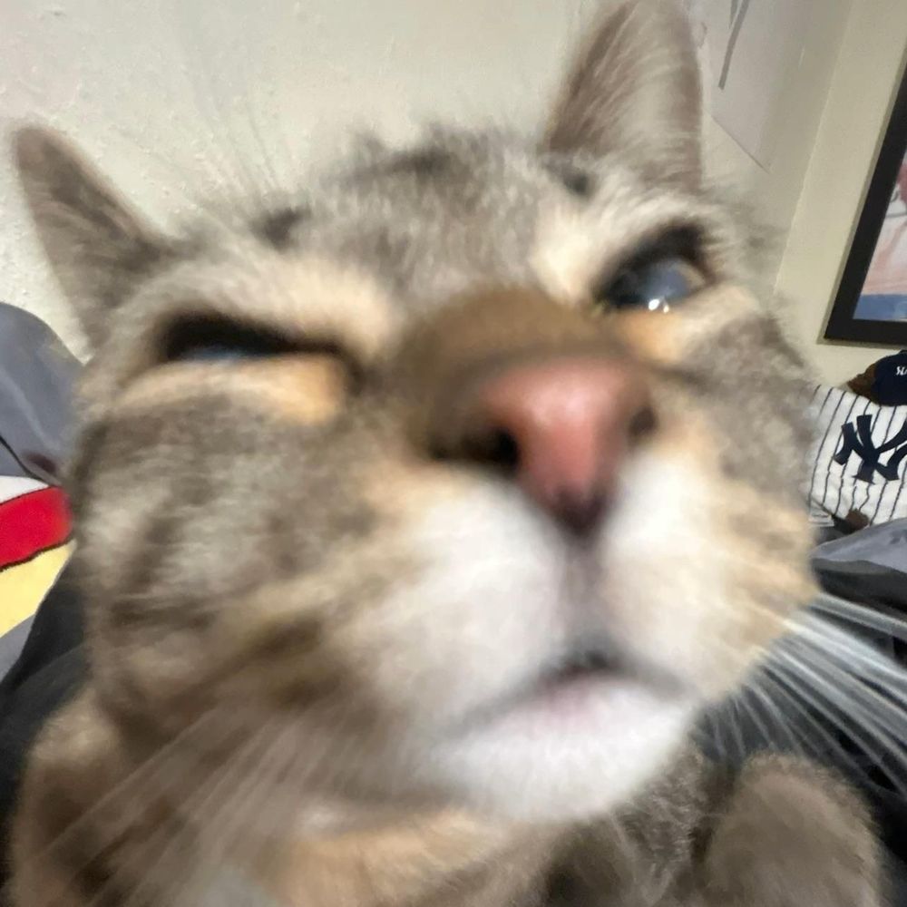 Whatnot - POP UP STREAM SO MANY PLUSH Livestream by cnmgoodies #plush