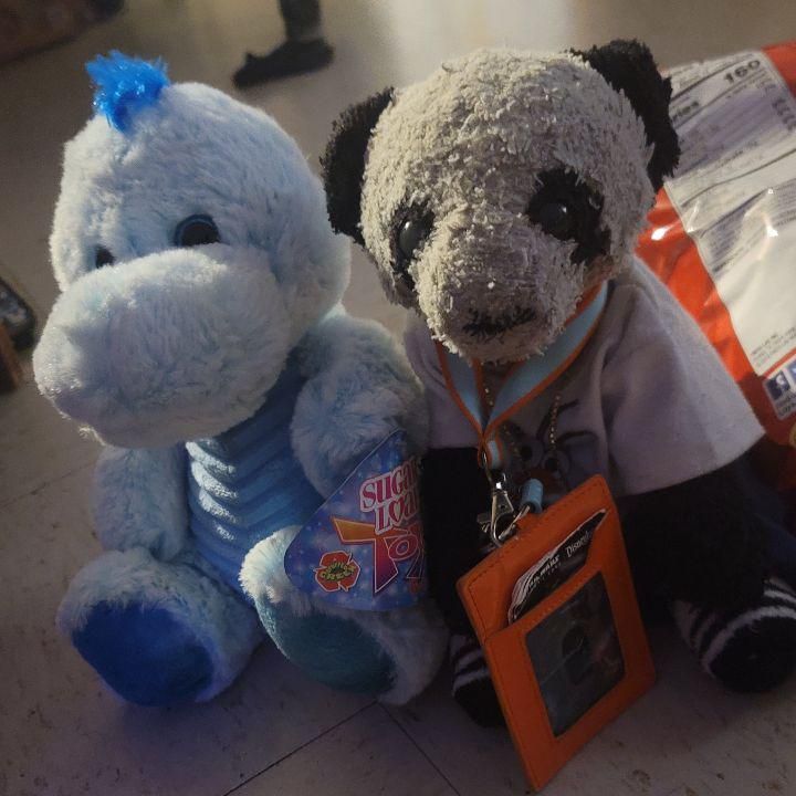 Whatnot - Pokemon cards preview Livestream by pandamj #pokemon_cards