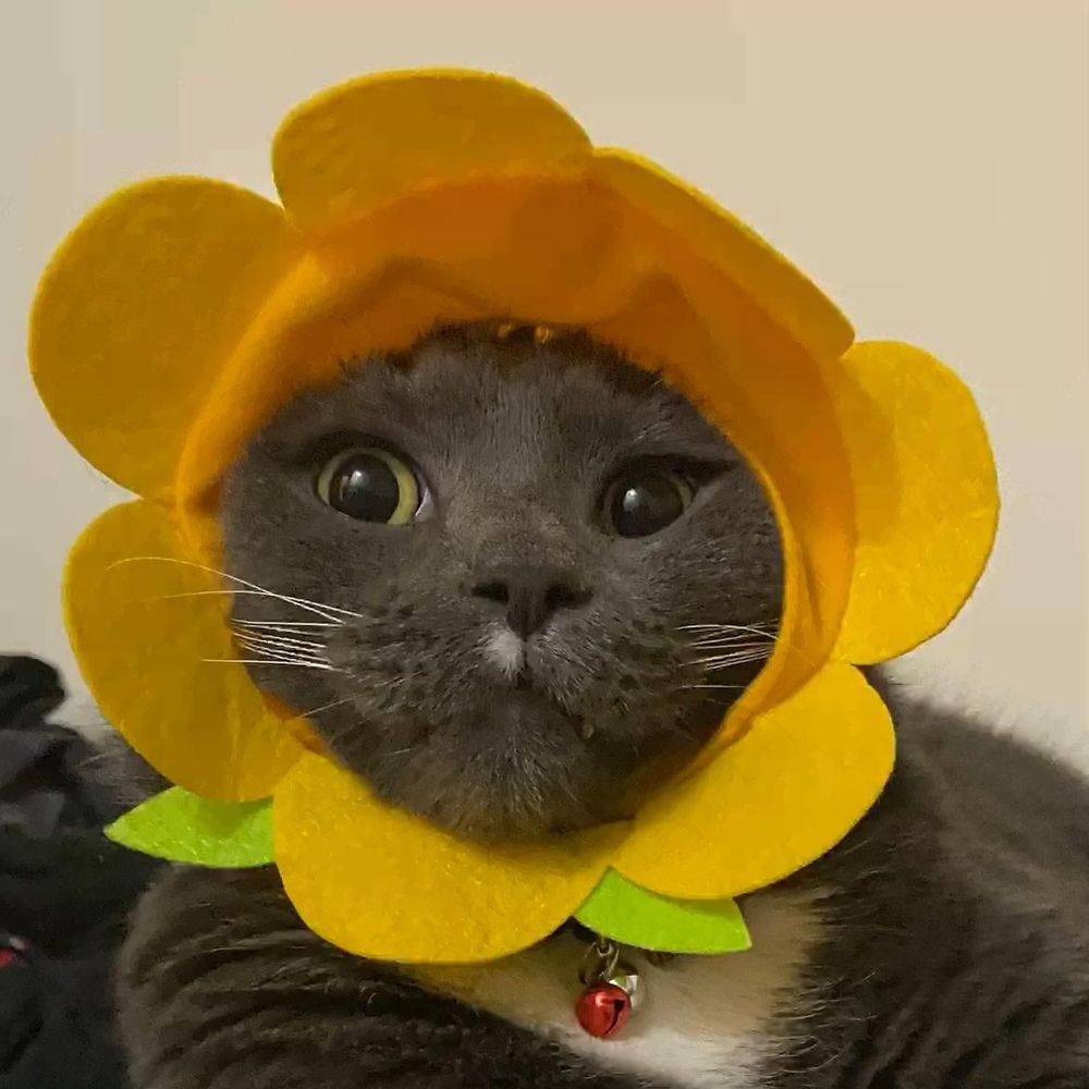 Whatnot - Box Pulls & Prizes with 😱 SPOOKY GAMES 👻 Livestream by ...