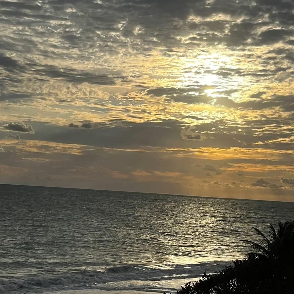 Whatnot - Cartoon character Clothing - Marvel,Tom & Jerry, Scooby doo ...