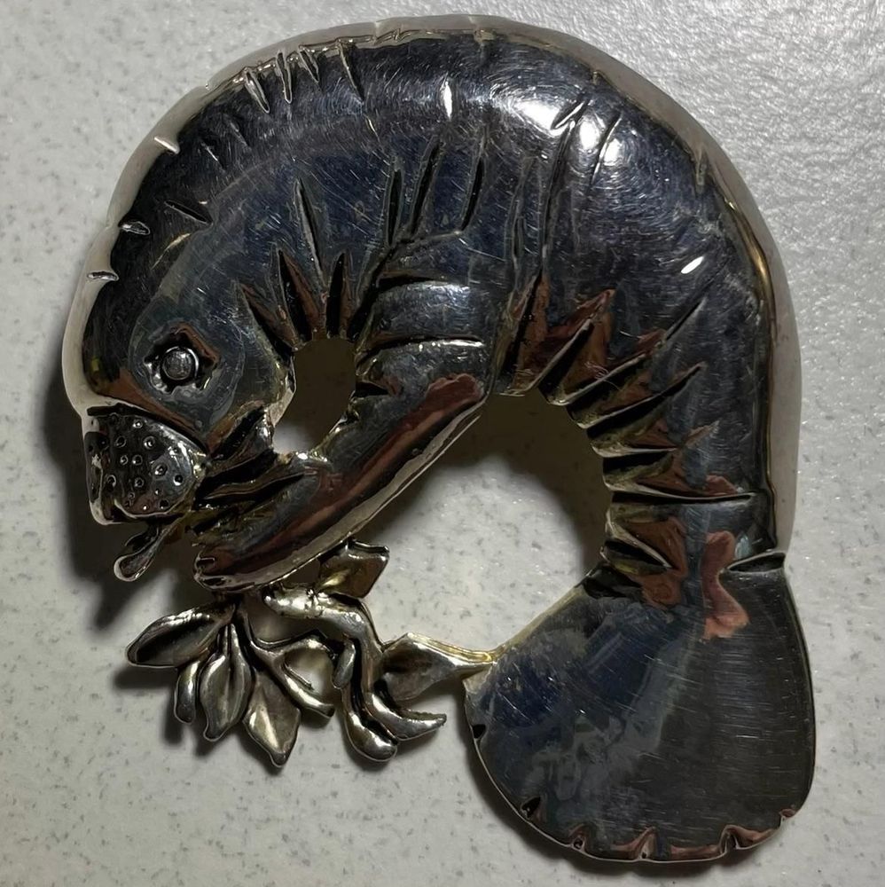 Whatnot - Signed Brooches and Pins $5 Starts Livestream by silverwindfl ...