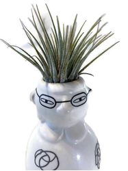 Livestream shopping by orchidstuffplus_com