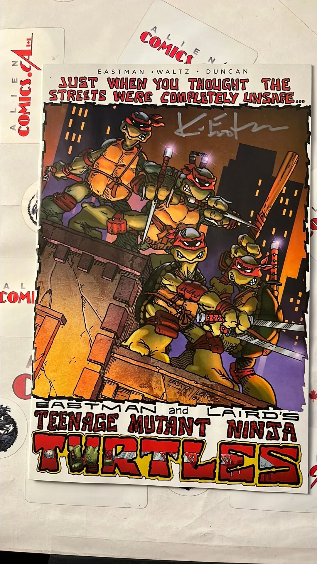 Teenage Mutant Ninja Turtles (#1 Original Red Headbands Eastman & Laird ...