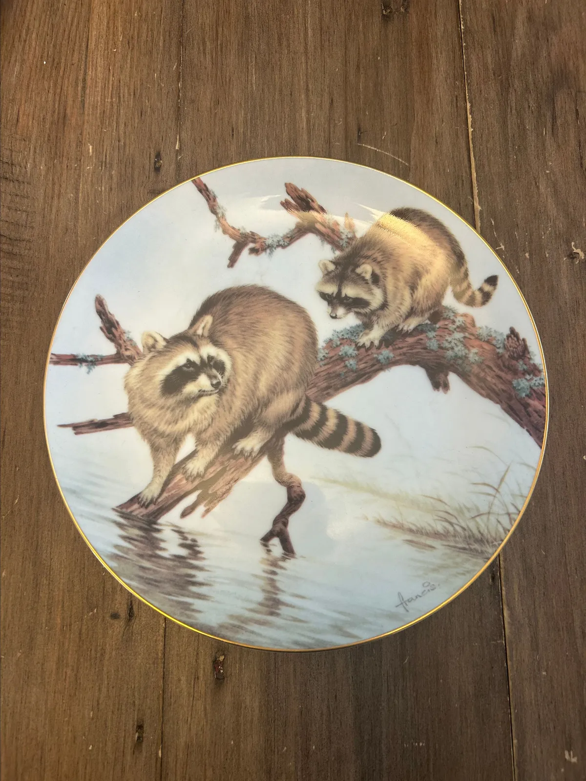 The Forest year Porcelain collection by John Francis ,Wood ducks ...