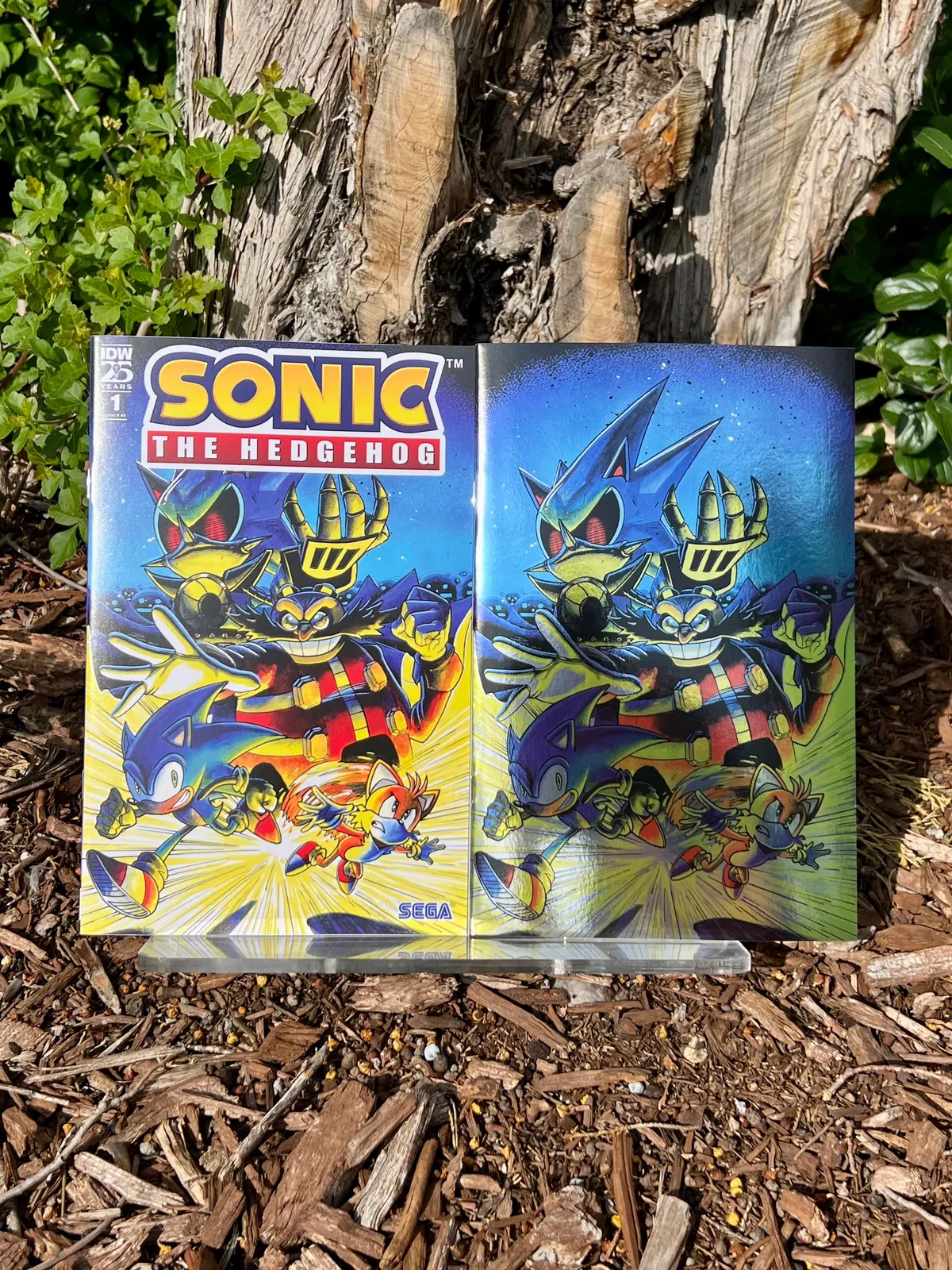 Comic book- C2E2 2024 Exclusive Sonic The Hedgehog IDW Comics - Issue ...