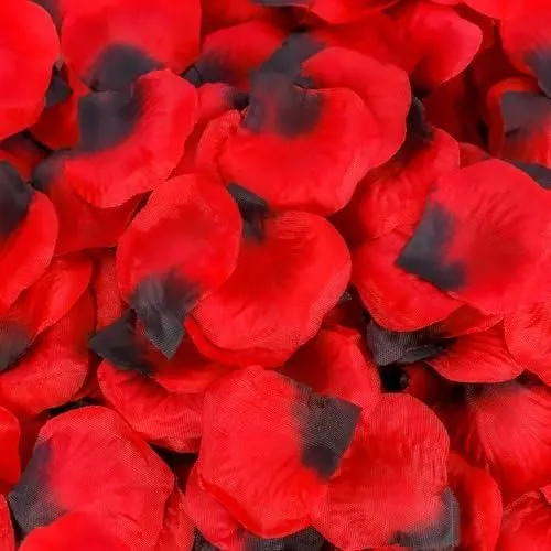 DomeStar 4000PCS Fake Rose Petals, Artificial Flower Petals Silk Red ...