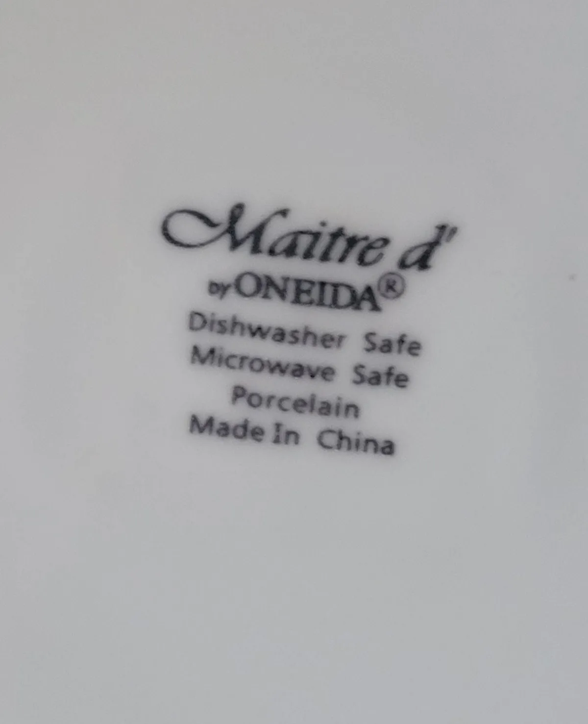 Maitre D by ONEIDA Dinner Plates Porcelain White with Two Blue Rings ...