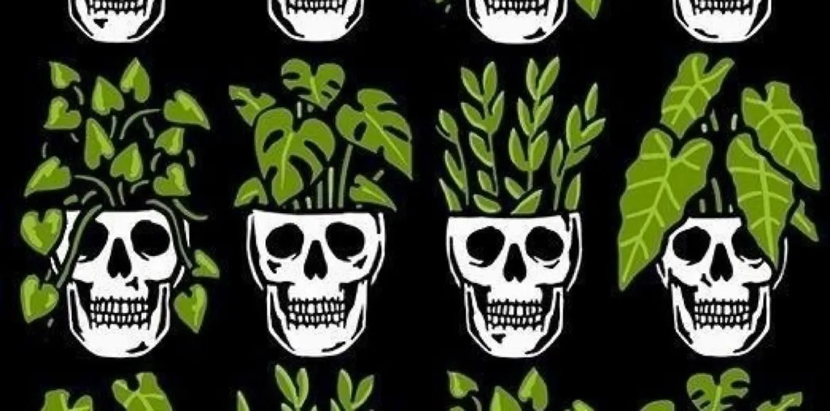 Profile · hanney_beth · hannah beth · Whatnot: Shop, Sell, Connect