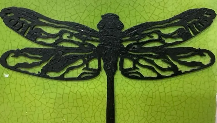 @dragonflydivas · Dragonfly divas · Profile · Whatnot: Shop, Sell, Connect