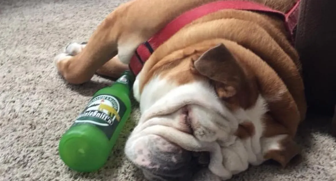 rr_fishing · Steven Miller · Shows · Whatnot: Shop, Sell, Connect