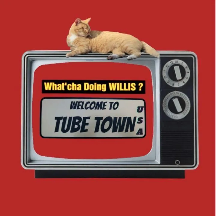tubetownbaby · What'cha Doing Willis? · Shows · Whatnot: Buy, Sell & Go Live