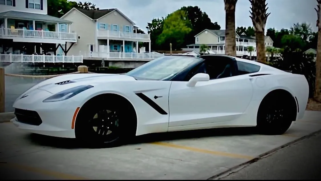 Profile · metaldiva · Trish Willard · Whatnot: Shop, Sell, Connect