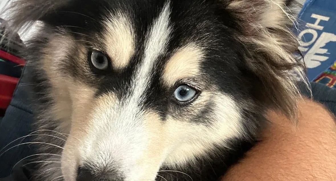 Profile · phillyphlipper · Paul Philly Phlipper · Whatnot: Shop, Sell ...