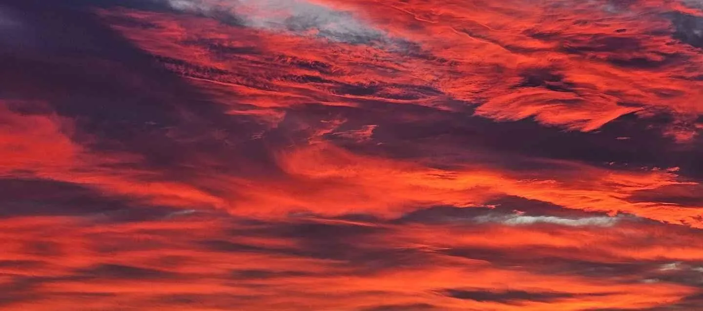 Reviews · wow_im_shocked_i_just · Michael N · Whatnot: Shop, Sell, Connect