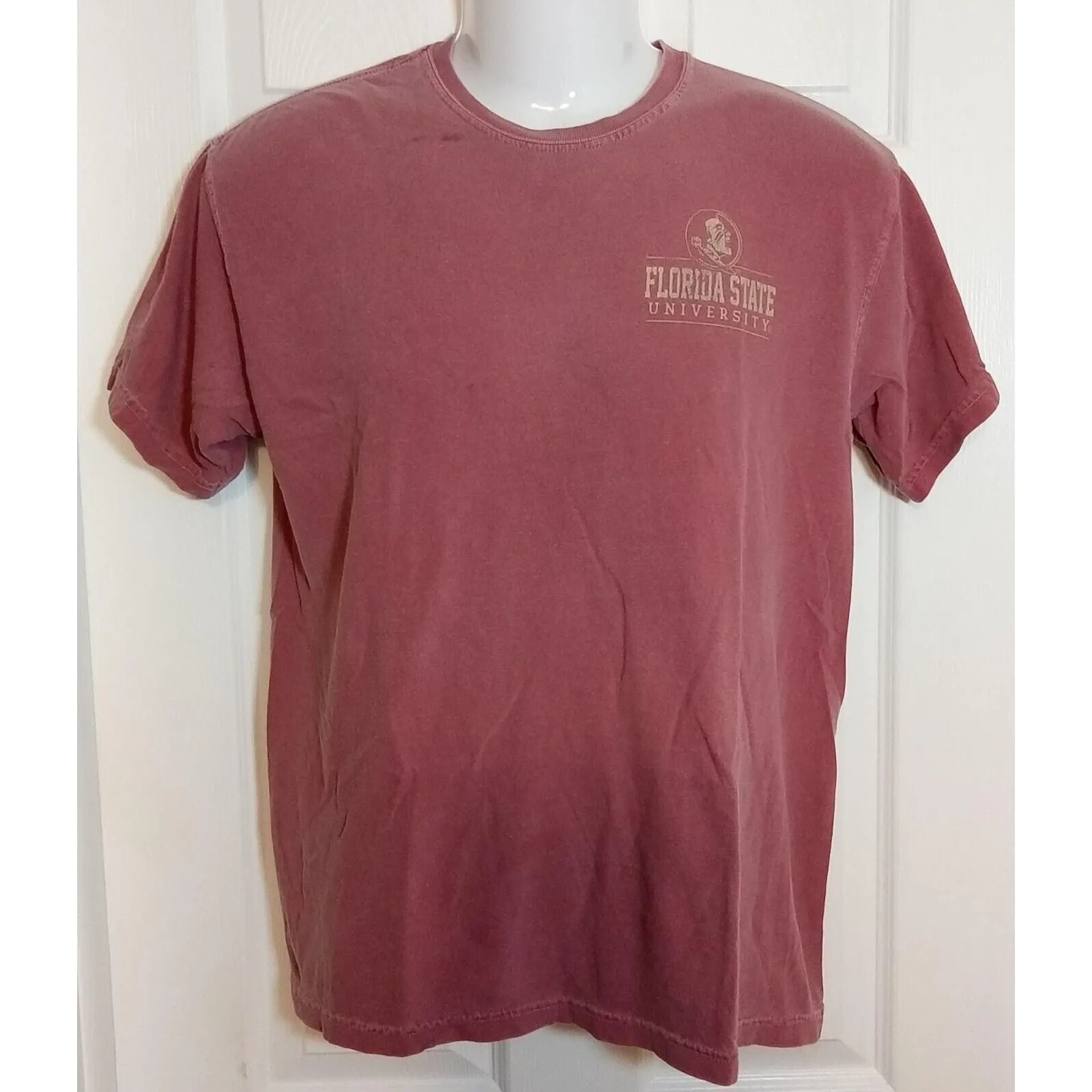 Florida State Seminoles Comfort Colors Campus Icon T-Shirt Med ...
