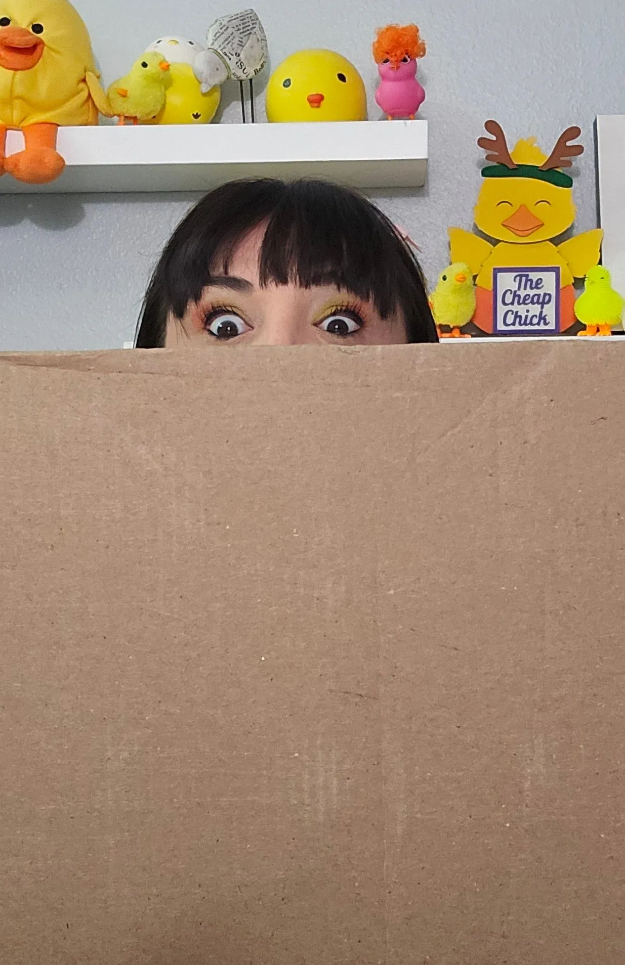 thecheapchick · The Cheap Chick · Shows · Whatnot: Buy, Sell & Go Live