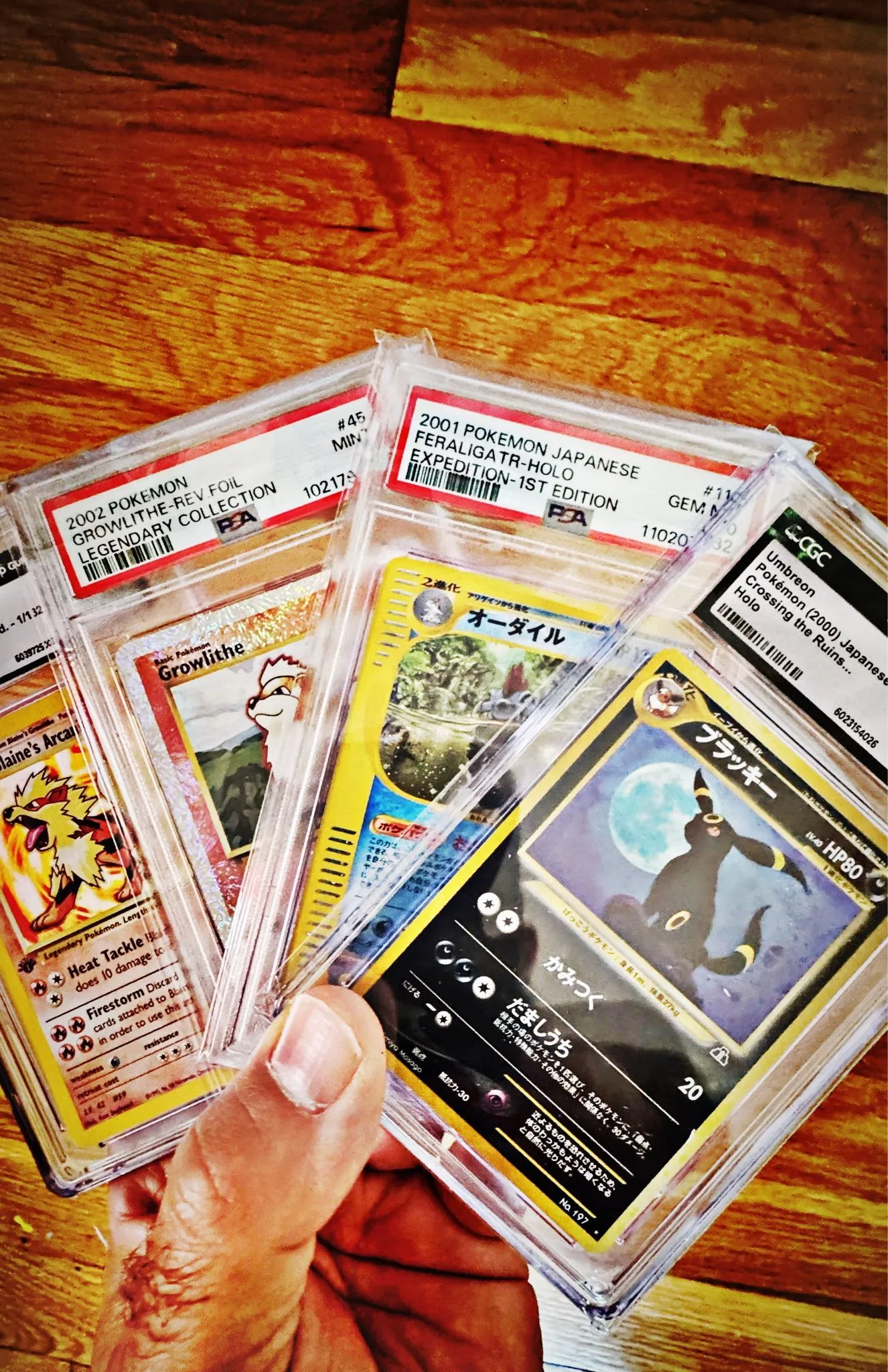 @theleafyeclectic's Livestream on Whatnot