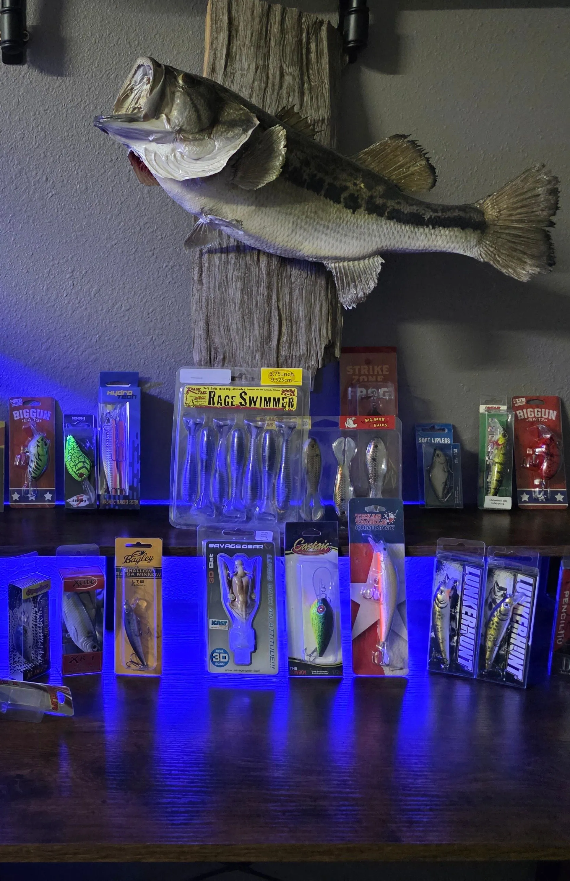 @halftimedeals's Livestream on Whatnot