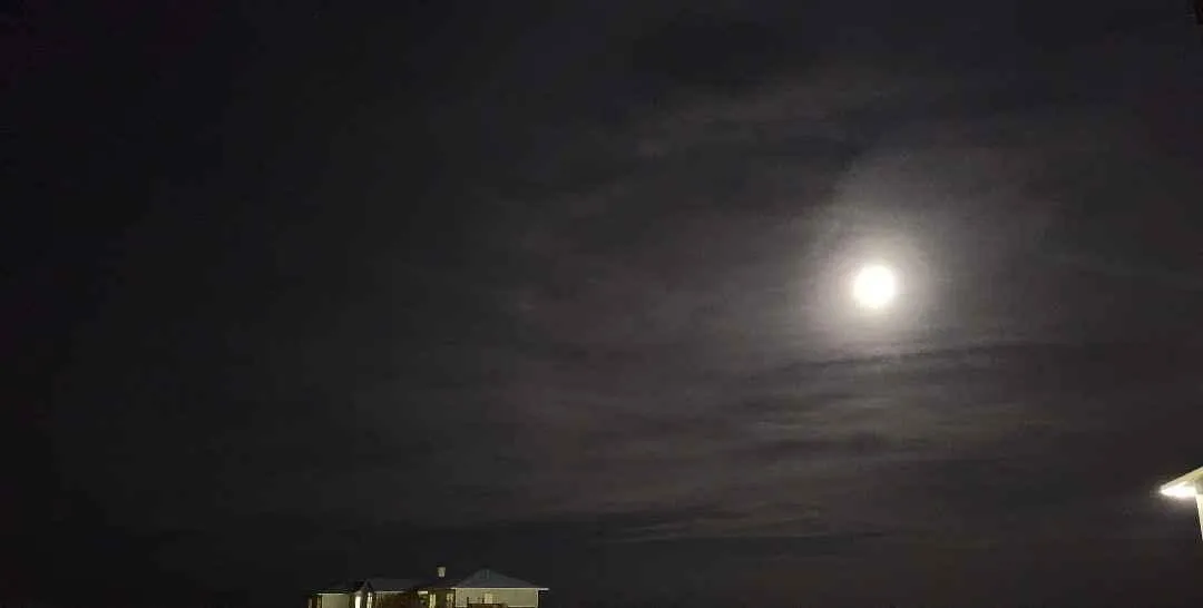 @lj_cards · LJ Cards · Profile · Whatnot: Shop, Sell, Connect