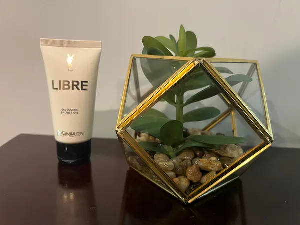 YSL Libre Body Wash · Whatnot: Buy, Sell & Go Live